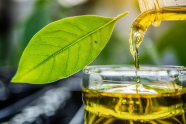 How to Make Biofuel from Waste?